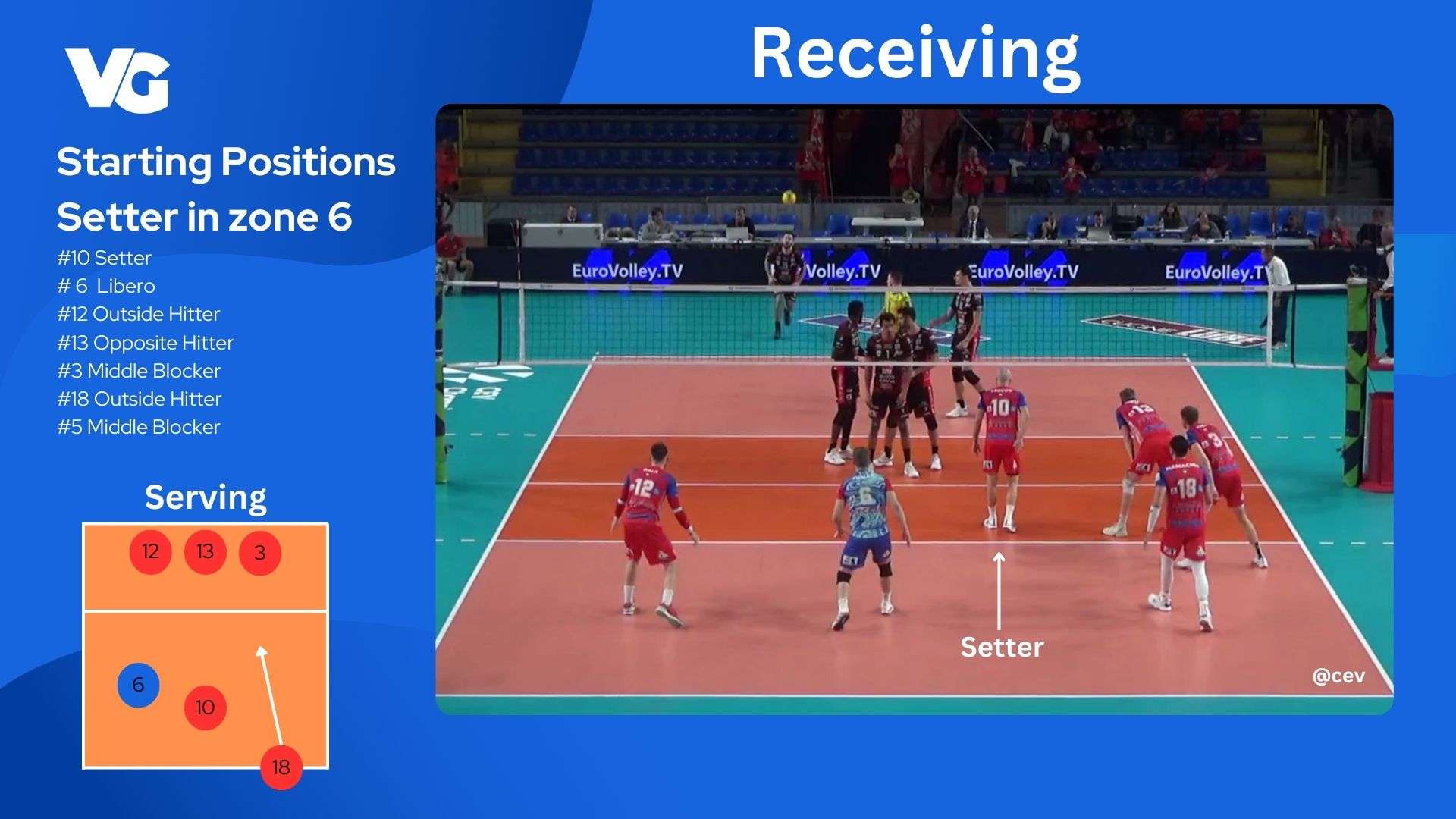 Volleyball Positions Explained