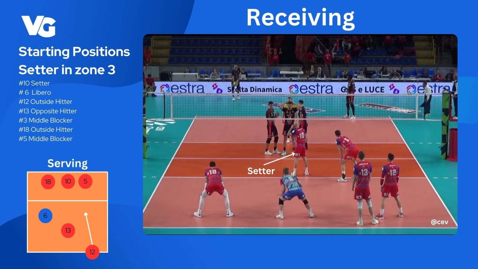 Volleyball Positions Explained